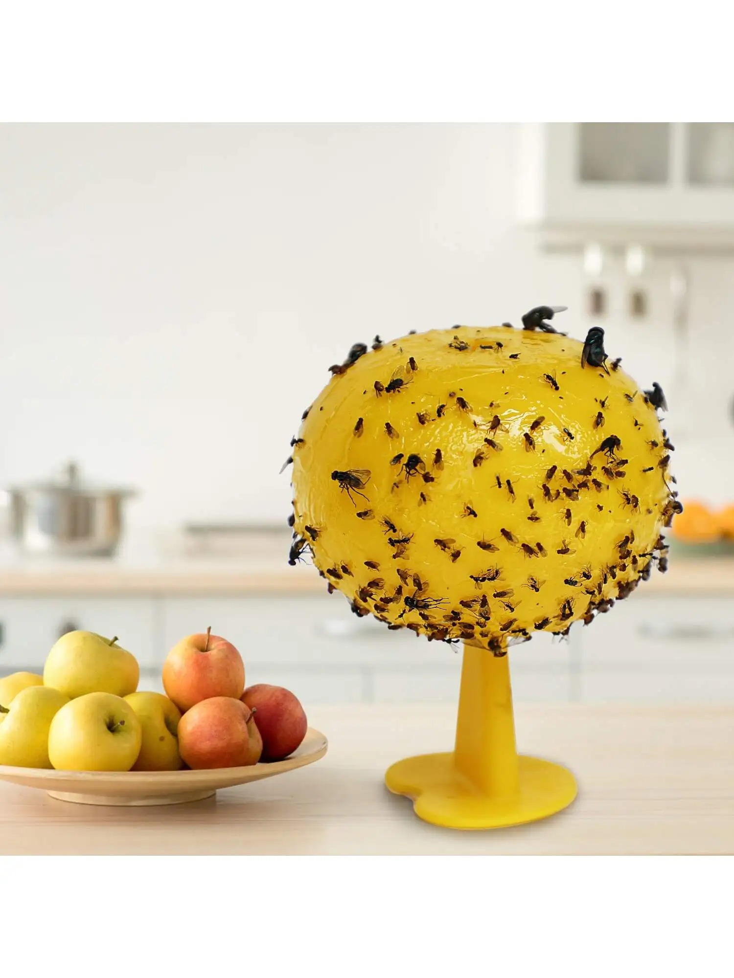 Attrape Mouche Collant | La Maison Du Jardinier