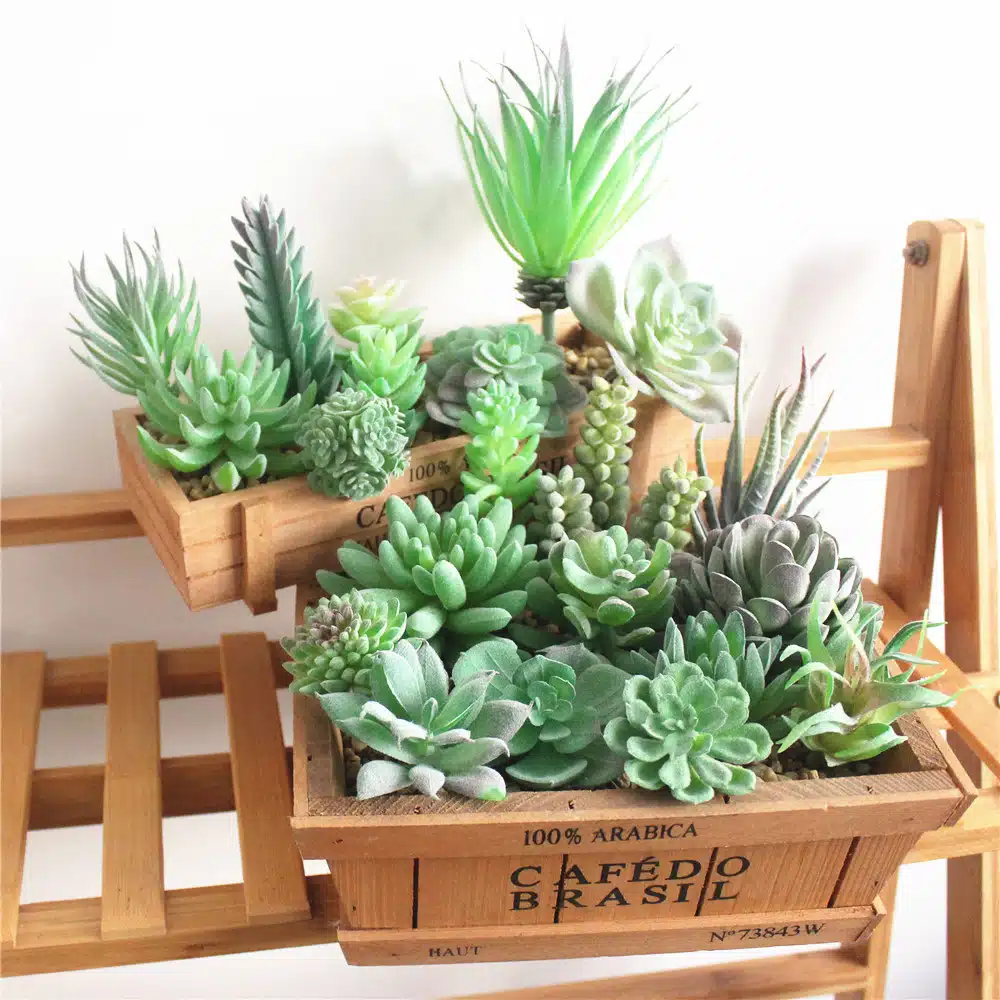 Mini Plante Grasse Artificielle Echeveria | La Maison Du Jardinier