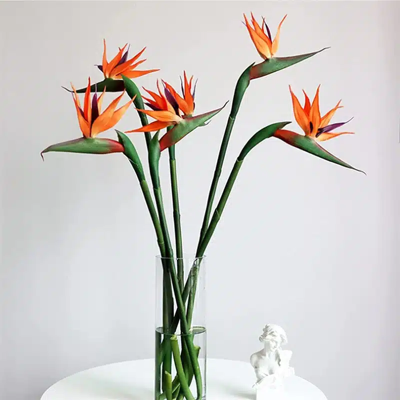 Tige De Strelitzia Artificielle | La Maison Du Jardinier