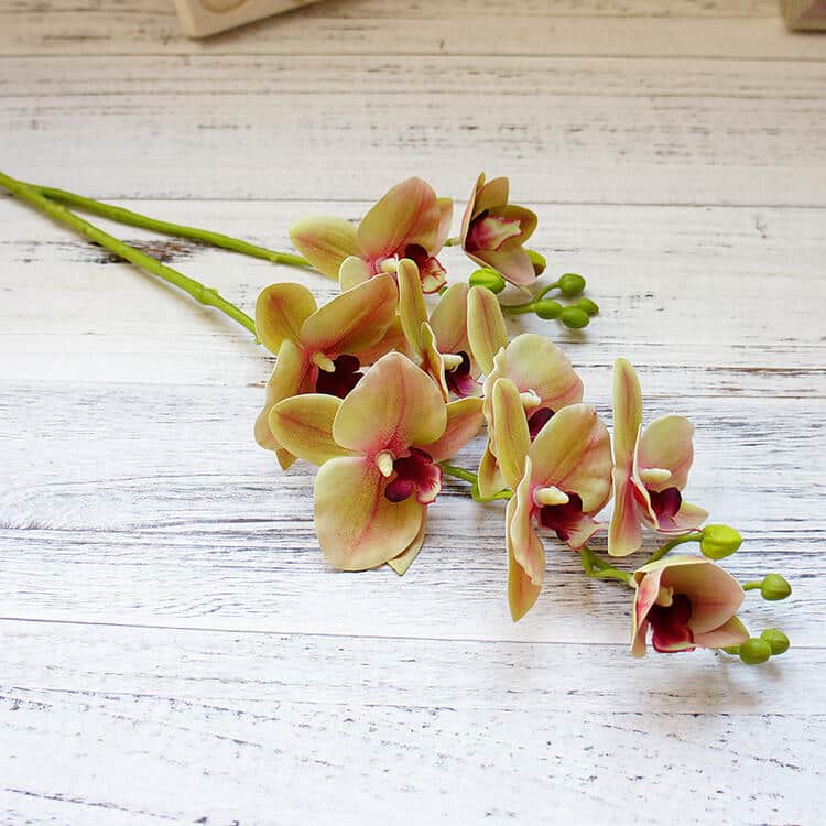 Tige Fleurs D’orchidée Artificielle | La Maison Du Jardinier